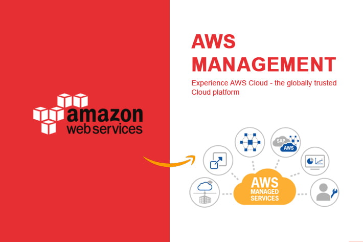 Managed Cloud Hosting | Amazon AWS & Google Cloud Management